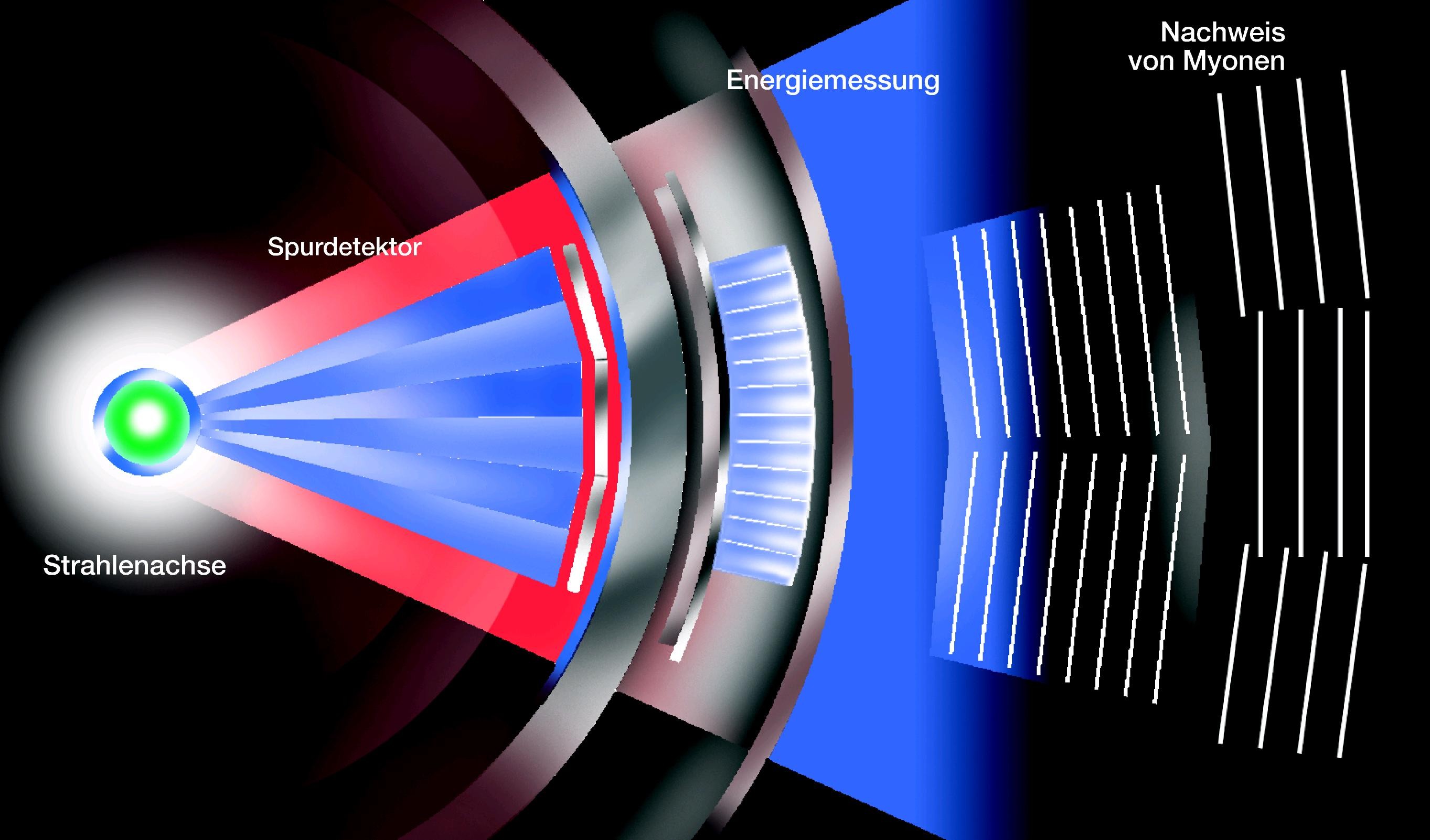 So funktioniert ein Detektor